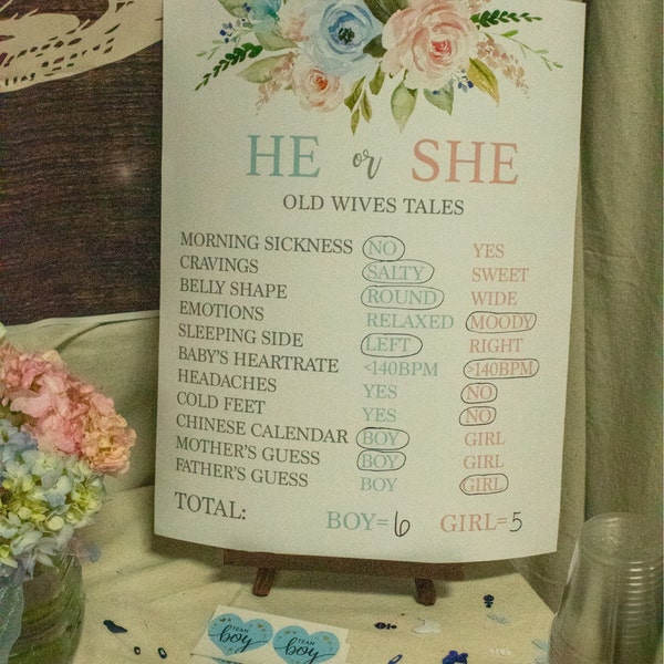 Boy or Girl Chart, Guess the Gender Sign, Pink and Blue, Baby Shower ...