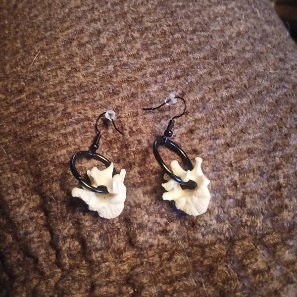 Snake Vertebrae, Python Vertebrae, Serpent Bone Art, Gothic Forest ...