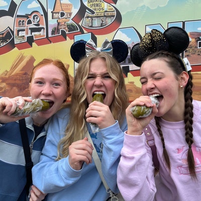 The Lands Collection Adventure, Frontier, Fantasy, & Tomorrow ...