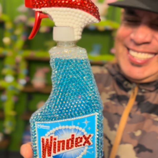 Bling Rhinestone Bedazzled WINDEX Glass Window Cleaner Spray New Full ...