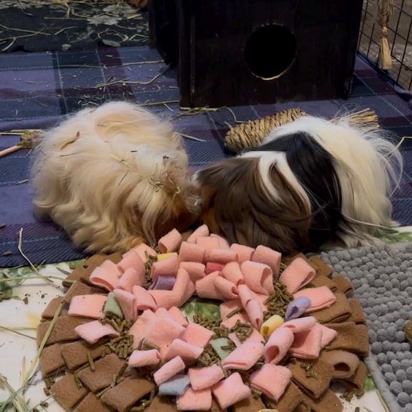 Blue Flower Snuffle Mat for Rabbits, Guinea Pigs, Dogs and Other Pets ...