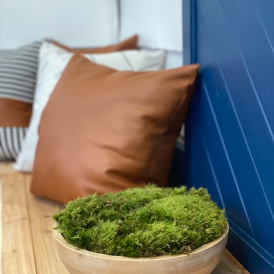 Moss, Rock Cap Moss, Terrariums, Crafts, Miniatures, Fairy Gardens ...