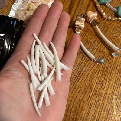 1/2 Lb, Large Smooth Dentalium Shells, Dentalia, Native American ...