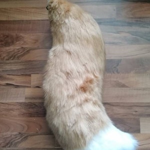DIGITAL Tiger Tail Pattern for Fursuits & Cosplay PDF Download - Etsy