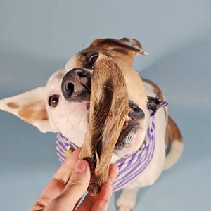 Chicken Head Whole Dehydrated, 25 Pack, Treats Chews Bone - Etsy