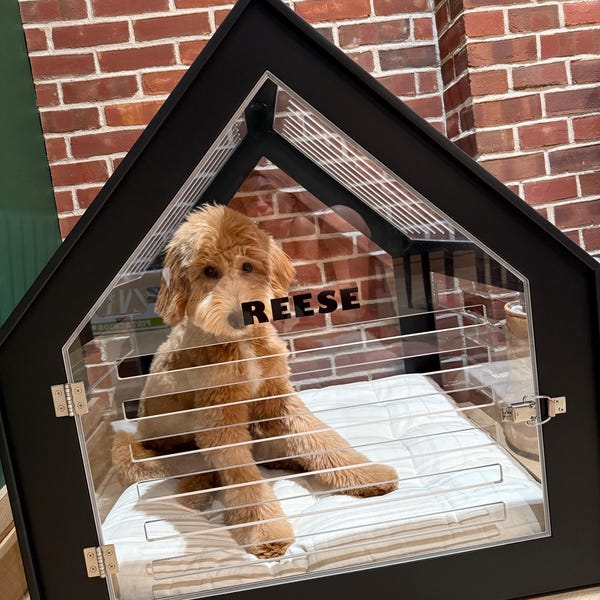 Fully Transparent Modern Dog and Cat Crate With Acrylic Sides Petso ...
