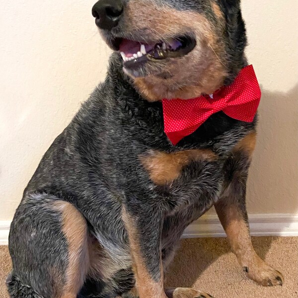 Monster Patches, Red Monster Patch, Birthday Patch, First Birthday ...