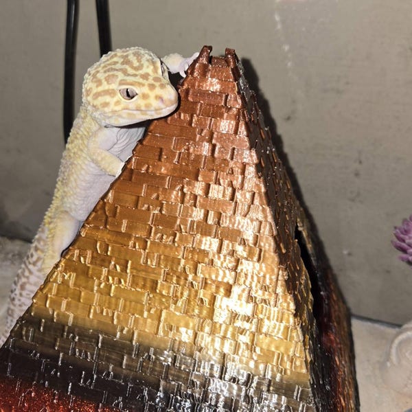Stroodies Great Pyramid Hide for Leopard Geckos - Etsy