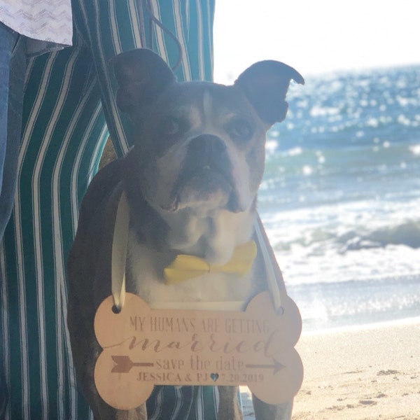 Pet Sign for Engagement Save the Date Photography - Dog Save the Date ...