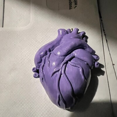 Anatomical Heart Magnet Set, Medical Human Organs Kitchen Magnet, EMS ...