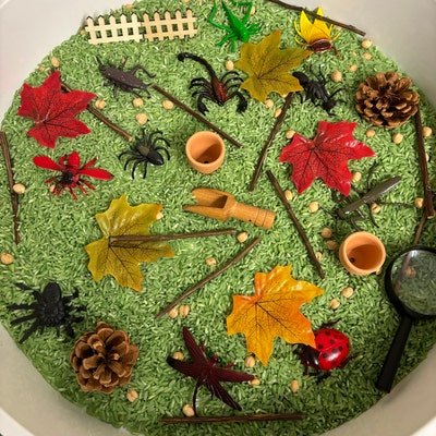 The Mini Minibeast Sensory Kit Flashcards Toddler Travel Childs Gift ...