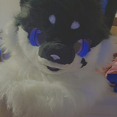 Fursuit Head Head Only,furry Cosplay,fantasy Creatures, Dog Fursuit ...