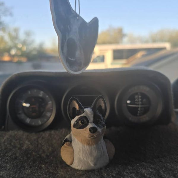 Western Sheriff Duck, Ducking, Dashboard Buddy, Custom Duck - Etsy