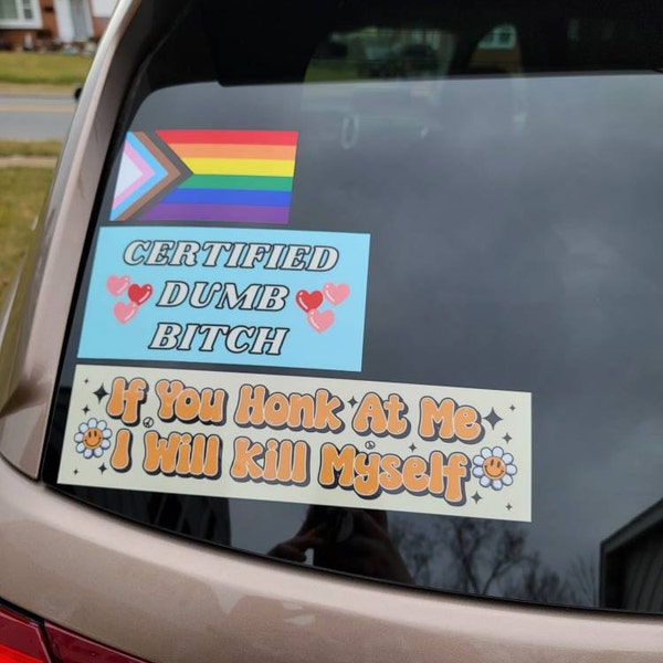 Car Sticker Funny, Driving Sticker, Car Vehicle Decor, Drivers Permit ...