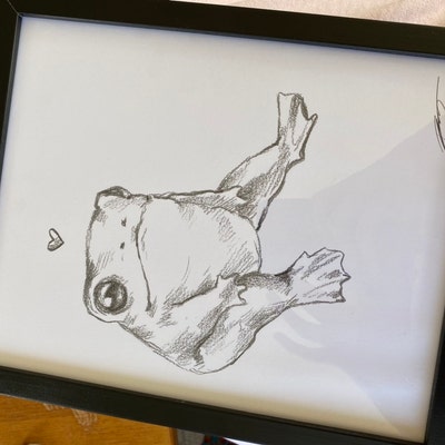 Fat Little Toad Sketch Drawing Illustration 8.5 X 11 Animal Art Print ...