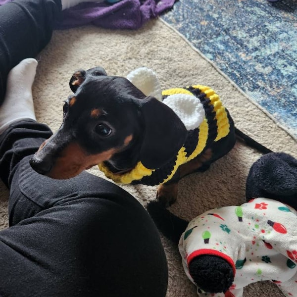 Bumblebee Dog Sweater / Halloween Costume Available in 4 Sizes - Etsy