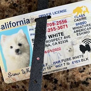 Texas Driver Dog Id Tag Personalized License Durable Dog Tag - Etsy