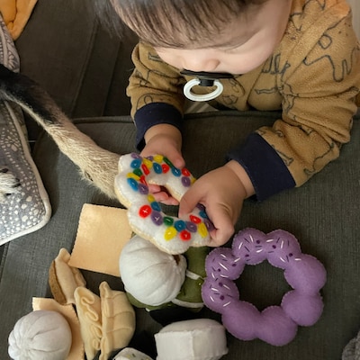 Felt Ramen, Felt Noodles, Felt Food, Pretend Play, Felt Decoration ...