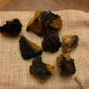 Chaga Mushroom Chunks 1lb Wild-foraged, Naturally Dried Maine Chaga ...