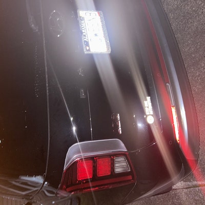 Delta Sigma Theta Sorority, Inc. Car Decal - Etsy