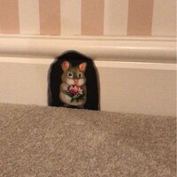 Cute Hungry Mouse Will Work for Cheese Sign in Mouse Hole Wall Decal ...