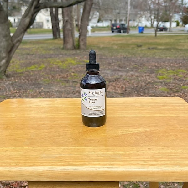 Teasel Root Tincture, Dipsacus Sylvestris - Etsy