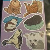 Tired Catto Sad Cat Meme Sticker Sheet Fat Cat Lover Sticker, Meme ...