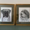 Bijon Art, Bijon Drawing, ORIGINAL Drawing, Bijon Sketch, Dog Art, Dog ...