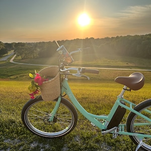 African Rwanda Woven Basket Biko Pink - Etsy