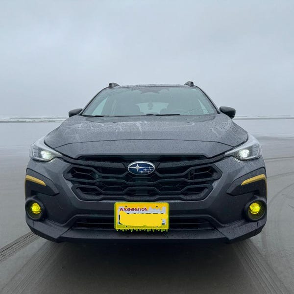 Slime Ooze License Plate Frame Cover, Car Show, JDM Plate, Tuner Plate ...