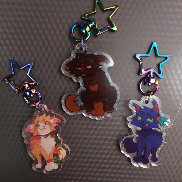 Warrior Cat Protagonist-inspired Holographic Acrylic Keychains - Etsy