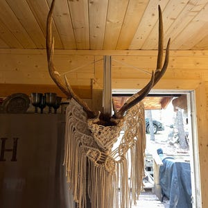 Macrame Antler Tutorial Pattern Wall Hanging, Digital Download, Witchy ...