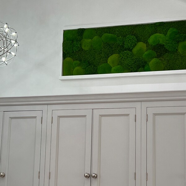 Illuminated Preserved Moss Wall Art With LED Lighting, Eco-friendly ...
