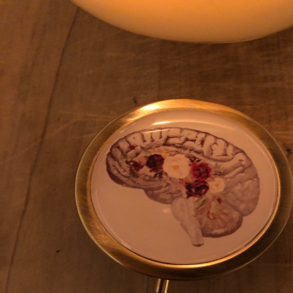 Floral Human Brain Pill Box, Floral Brain Pill Case, Trinket Box ...