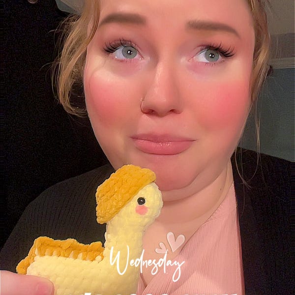 Blueberry Plush - Super Soft Cute Crochet Amigurumi - Cuddly Toy ...