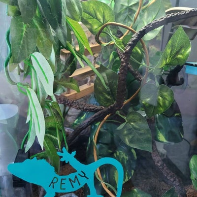 Customizable Name Green Tree Python Emerald Tree Boa Snake Vinyl Decal ...