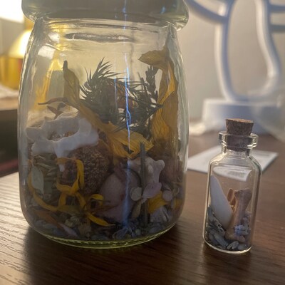 11 Deer Knuckle Toe Bones - Etsy