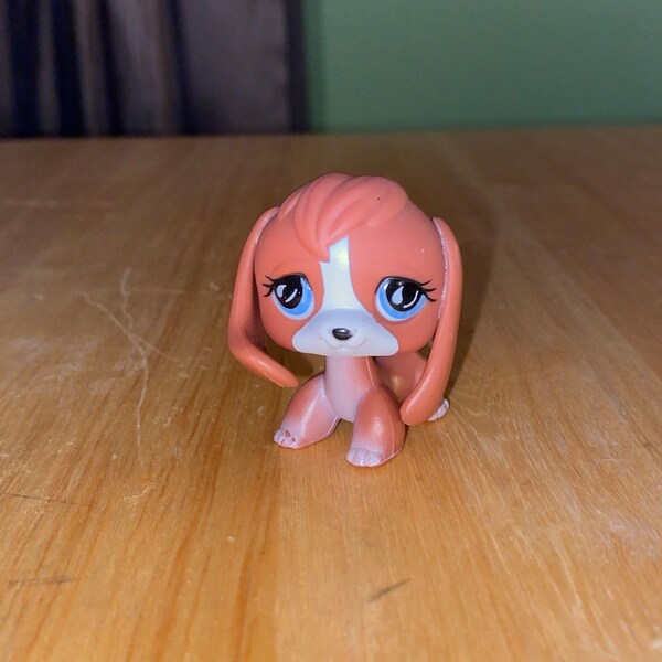 Littlest Pet Shop - Accessories - 20 Pieces - LPS - Lot 3 - Etsy