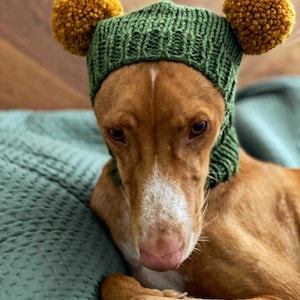 Yellow Cat Hat Hand Knit Sphynx Cat Accessories Pet Winter - Etsy