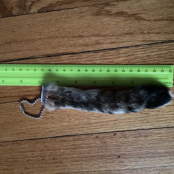 Genuine Bobcat Tail Keychain (CHOOSE SIZE) - Etsy
