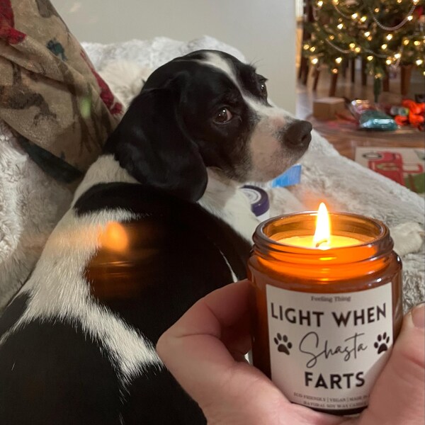 Middle Finger Candle - FU Candle, Teen Room Decor, Room Decor, Candle ...