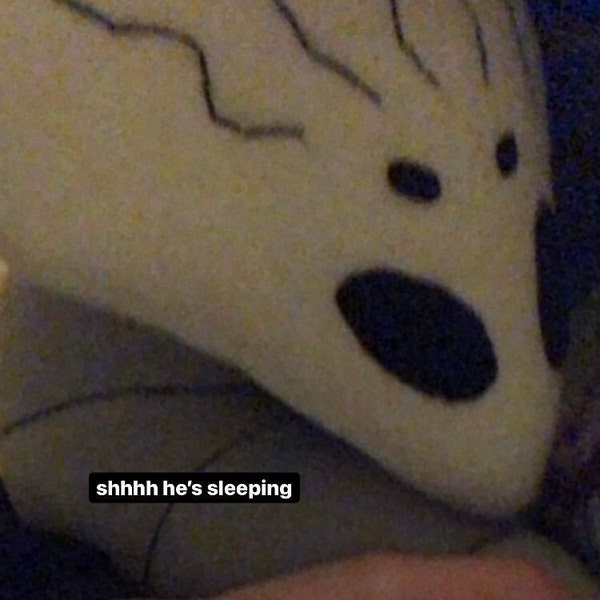 Gorb Hollow Knight Plush Toy Hollow Knight Soft Toy - Etsy