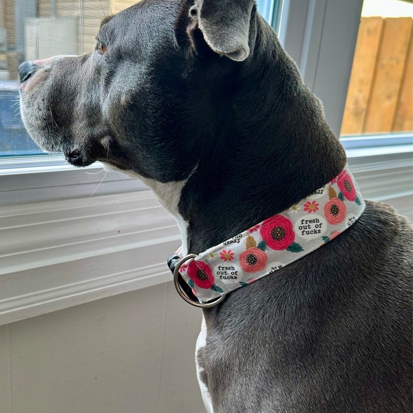 Dog Collar/fresh Out of Fus Dog Collar/ Flower Dog Collar/ Cussing Dog ...