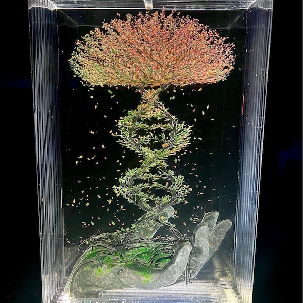 Jellyfish Swarm Resin Desk Light Underwater Epoxy Lamp Scuba ...