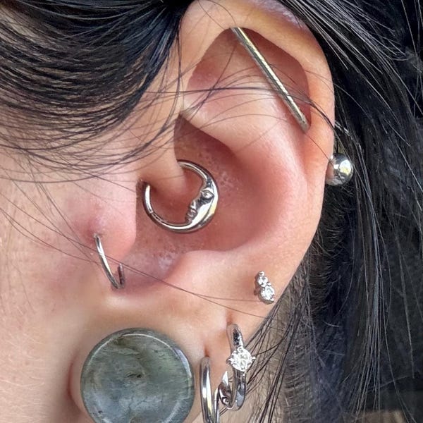 1 Piece Implant Grade Titanium Faceted Hinged Segment Septum Ring ...