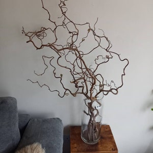 Tall Twisted Willow Stems | Contorted Willow | Natural Willow | 80cm ...