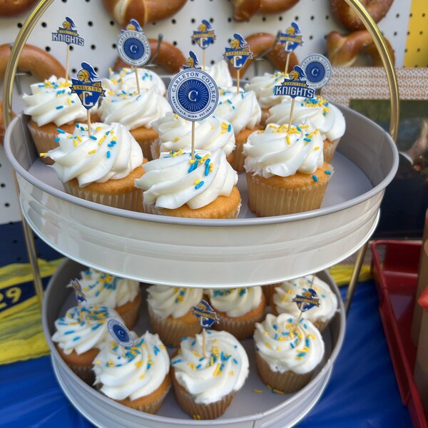 Gravity Falls Inspired Cipher Bill Piñata for Parties Halloween ...