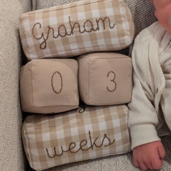 Embroidered Newborn Month Markers Blocks Set - Baby Photo Prop for ...