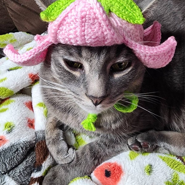 Flower Cat Hat - Etsy