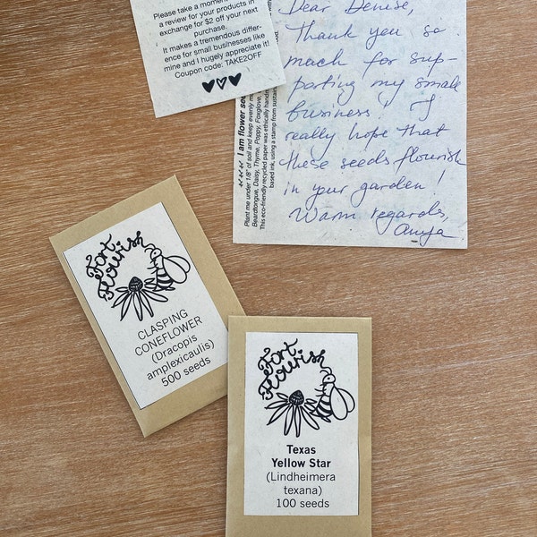 Texas Yellow Star Lindheimera Texana Native Wild Flower Seeds Organic ...